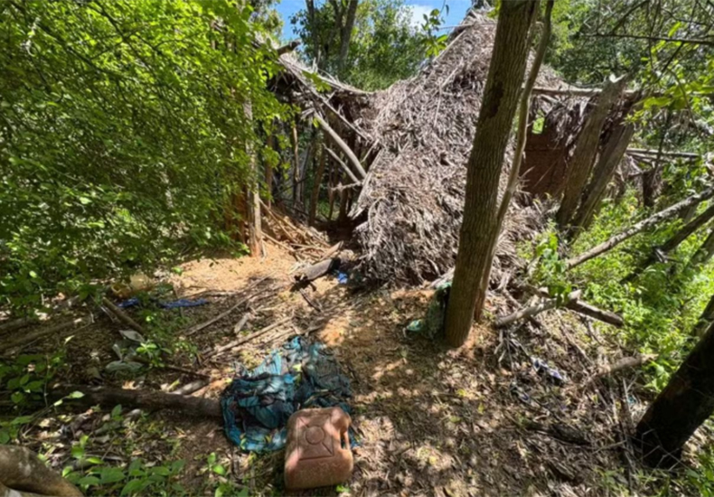 Cães farejadores confirmam relato de primo e reforçam buscas por ...